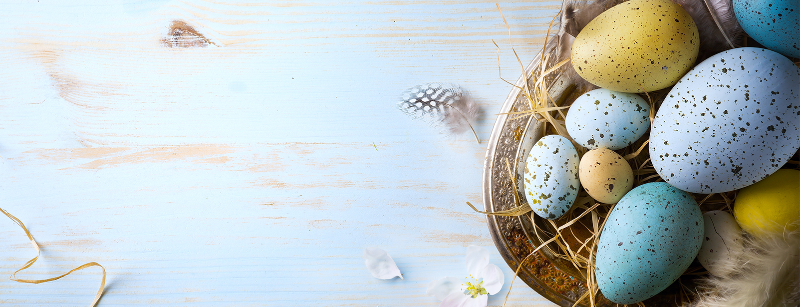 HOME - WANDERING WHEAT